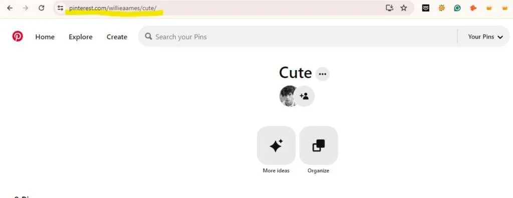 How to Find Pinterest Mobile App URL in 10 Seconds